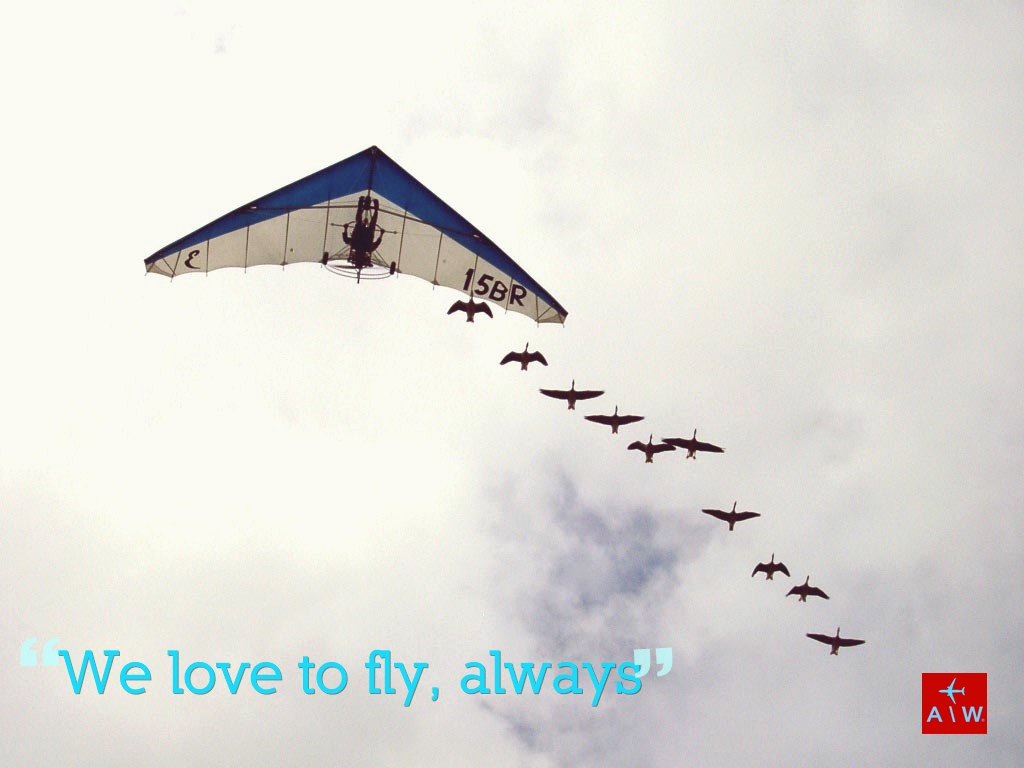 Airgways | «We love to fly, always»
