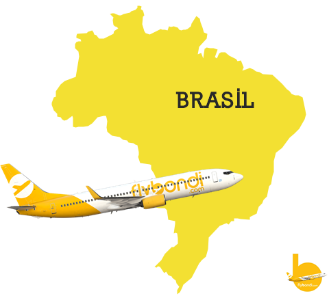 Flybondi autorizada para volar a Brasil