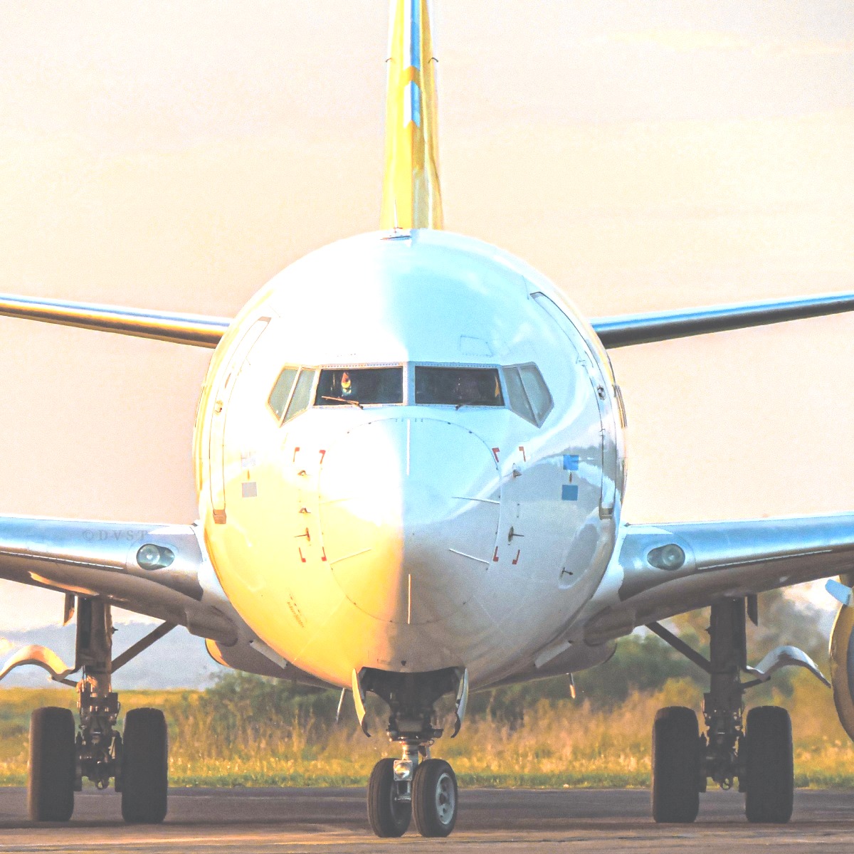 Flybondi habilitada servicio handling
